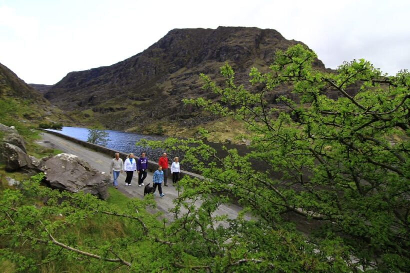 Gap of Dunloe & Lakes of Killlarney Boat Tour - What Travelers Say: Authentic Feedback