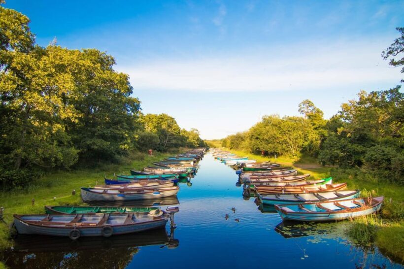 Gap of Dunloe & Lakes of Killlarney Boat Tour - Practical Details and Tips