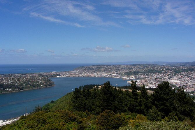 Garden and City tour - Exploring Dunedin’s Main Attractions in a Short Tour