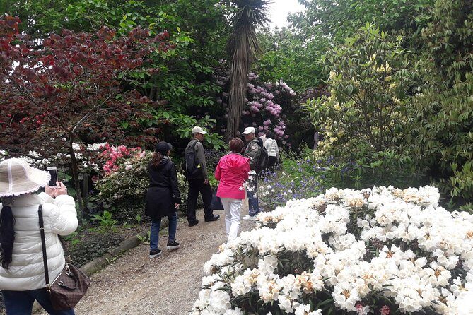 Garden and City tour - The Sum Up