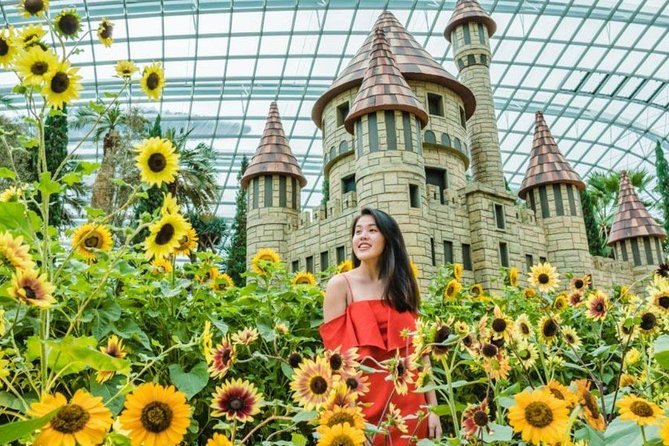 Garden by the Bay with two domes (Shared transfer) - Understanding the Itinerary