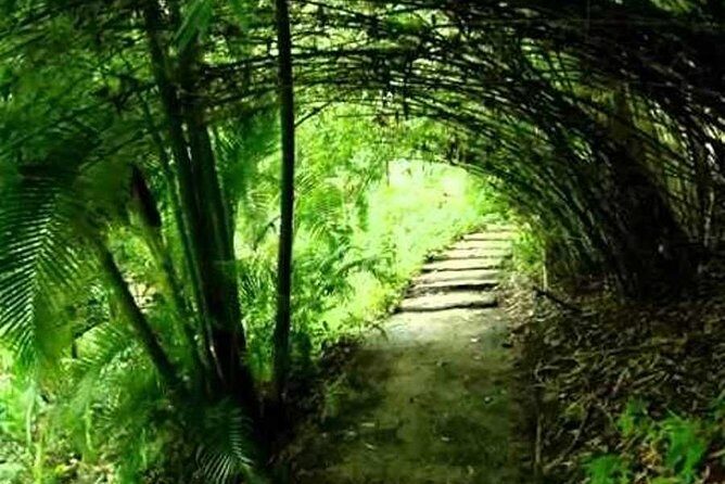 Garden Delight Full-Day Tour in Barbados - The Itinerary: Four Beautiful Gardens, But You’ll Choose Three