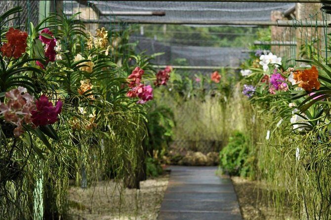 Garden Delight Full-Day Tour in Barbados - The Lunch Experience