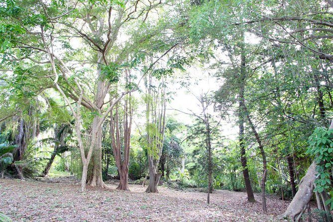 Garden Delight Full-Day Tour in Barbados - Practical Details & Considerations