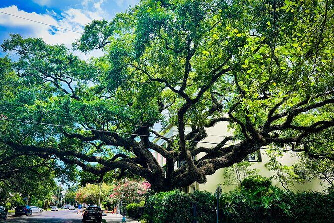 Garden District Walking Tour - Who Should Book This Tour?