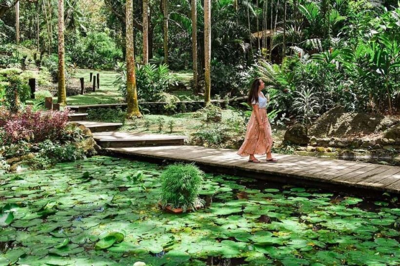 Garden of Sleeping Giant with Tifajek Mudpool Hotspring Tour - Key Points