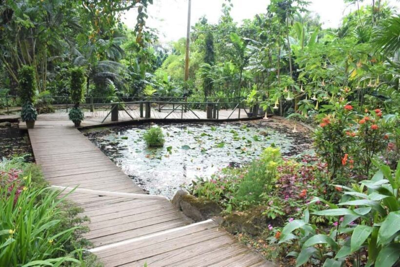 Garden of Sleeping Giant with Tifajek Mudpool Hotspring Tour - Frequently Asked Questions (FAQs)