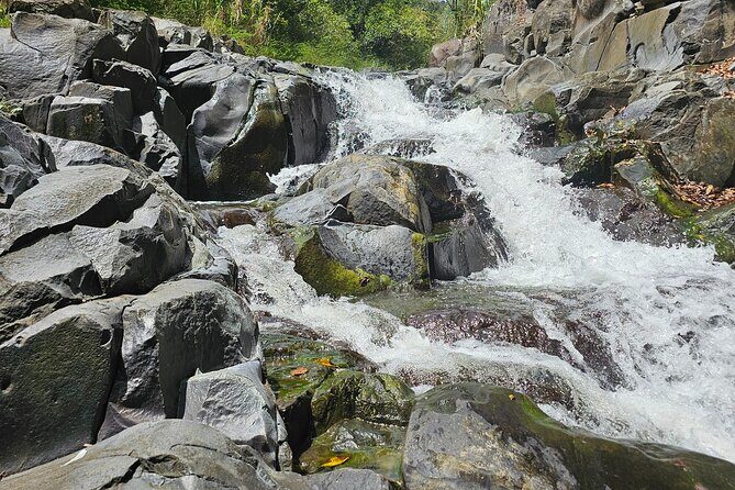 Gardens and Nature Chauffeur Adventures St. Lucia - Detailed Breakdown of the Itinerary