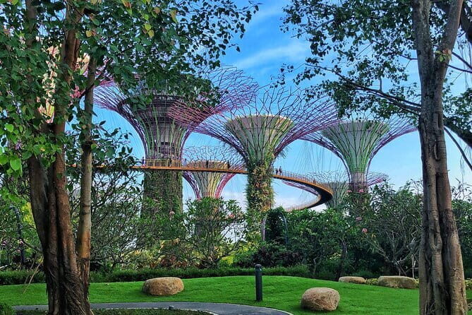 Gardens by the Bay Guided Tour - The Experience in Detail