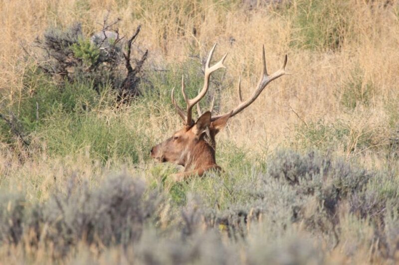 Gardiner: Scenic Raft Float on the Yellowstone River - Final Thoughts