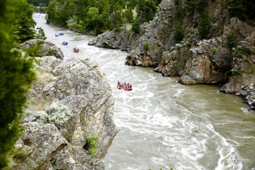 Gardiner: Yellowstone River Half-Day Whitewater Rafting - What to Expect on Your Guided Whitewater Trip