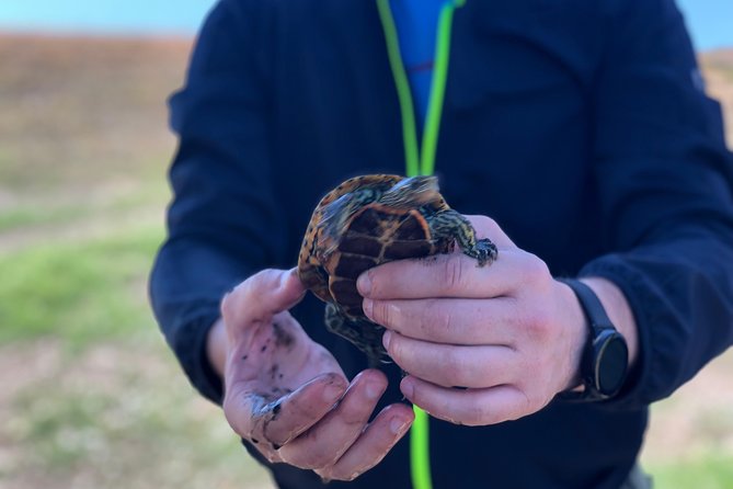 Gareja Sunrise Hike Tour from Tbilisi and Rainbow Hills Trail - Exploring the Monasteries and Rainbow Hills
