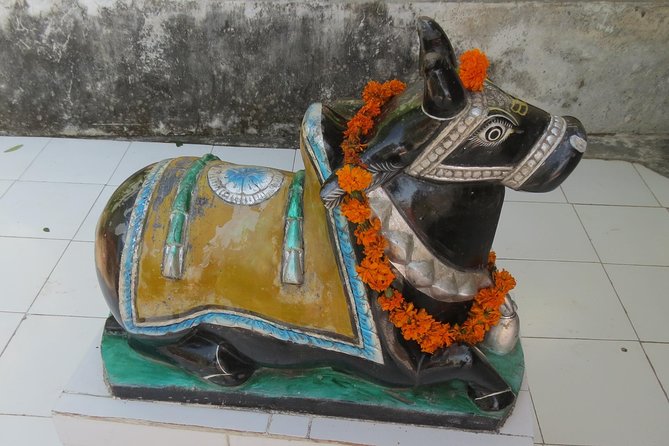 Garhwal Village Trip - 5 Night 6 Days - Practical Tips for Future Travelers