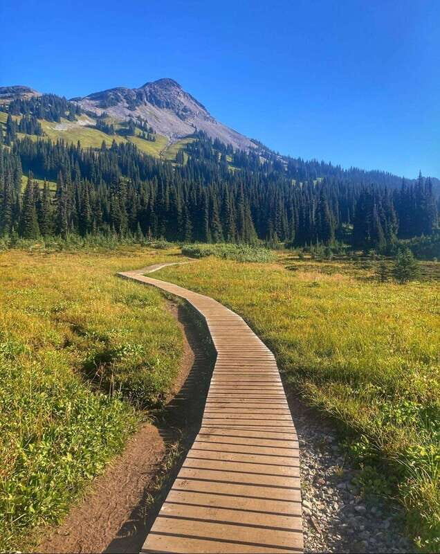 Garibaldi Park/ Panorama Ridge/ Hiking Day Trip - An In-Depth Look at the Garibaldi Park Hike