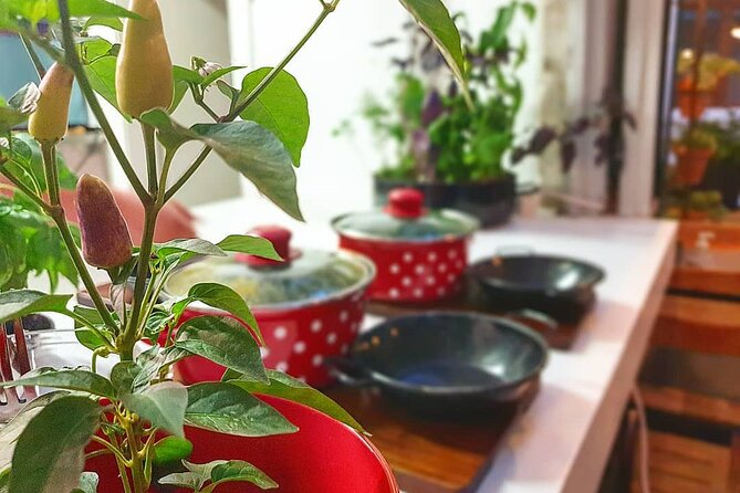 Gastro and History Jewels Experience in Split - Tour Logistics and Accessibility