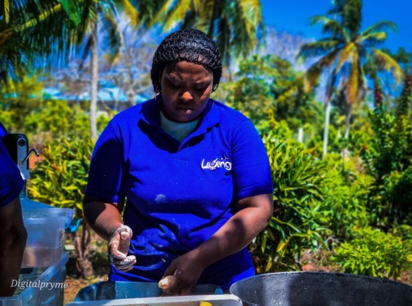 Gastronomic and musical experiences in San Andres Rondontour - The Sum Up