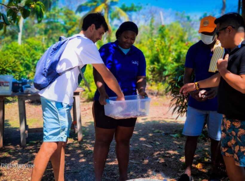 Gastronomic and musical experiences in San Andres Rondontour - FAQs