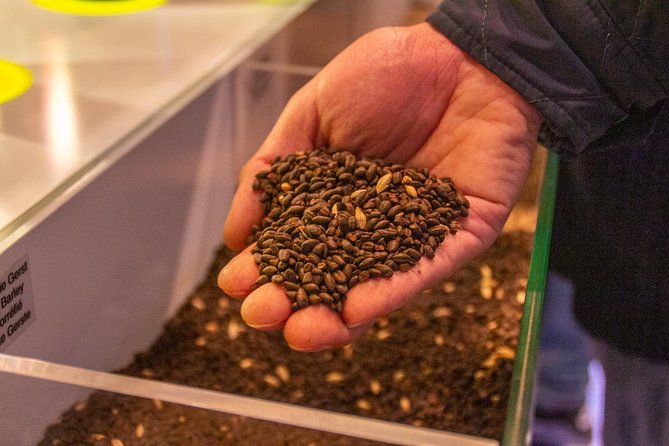 Gastronomic Tour: A Taste of Bruges - Who Should Consider This Tour?