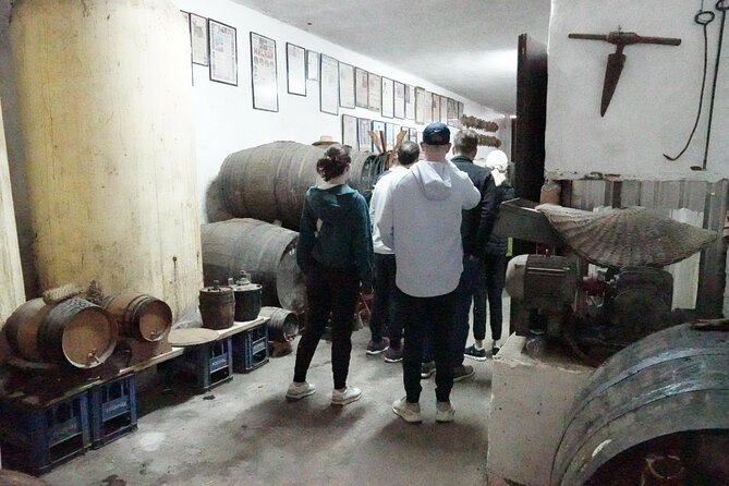 Gastronomic Tour in Montes de Málaga: Explore by Electric Car - The Sum Up