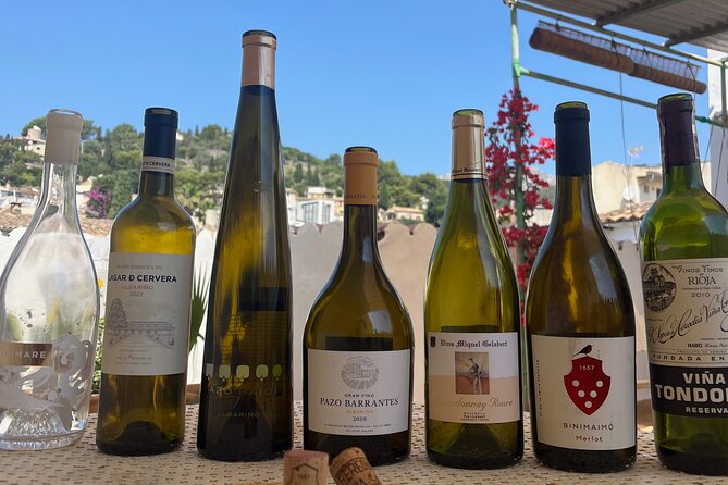 Gastronomic Wine Tasting Experience Guided by a Sommelier - Pairing Local Delicacies With Vintages