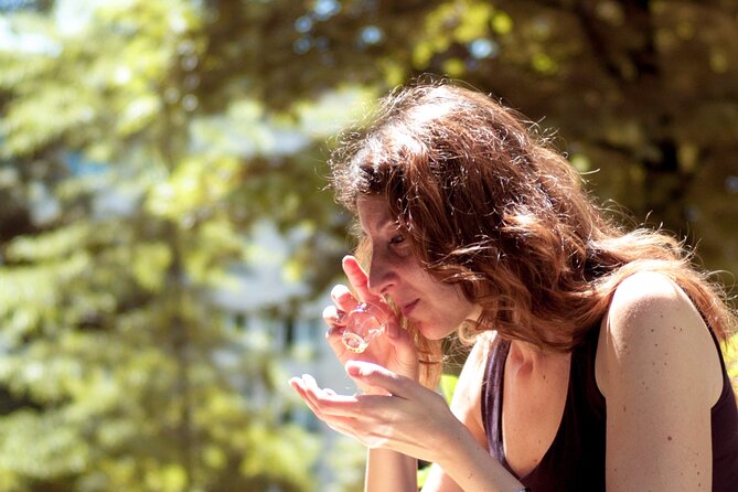 Gastronomy tasting through oil, wine and cheese in Turin - Who Should Consider This Tour?