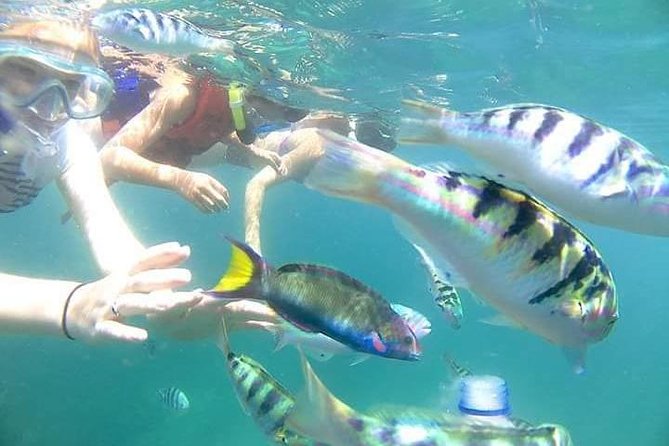 Gate Heaven Tirta Gangga With Snorkeling Private Guided Tour - The Itinerary: What to Expect from Sunrise to Sunset