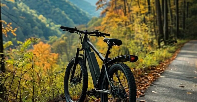 Gatlinburg: E-Bike Rentals - The Sum Up