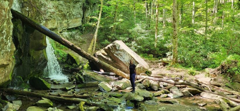 Gatlinburg: Great Smoky Mts National Park Waterfall Tour - FAQ