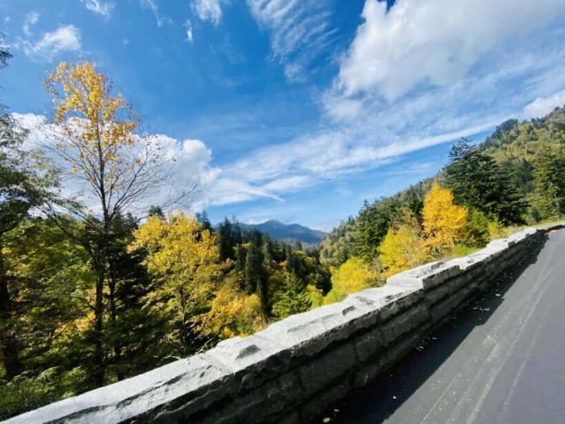 Gatlinburg: Jeep Rental Through The Smoky Mountains - Pricing and Value