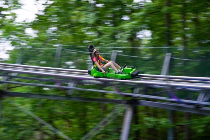 Gatlinburg Moonshine Mountain Coaster Ride - The Sum Up