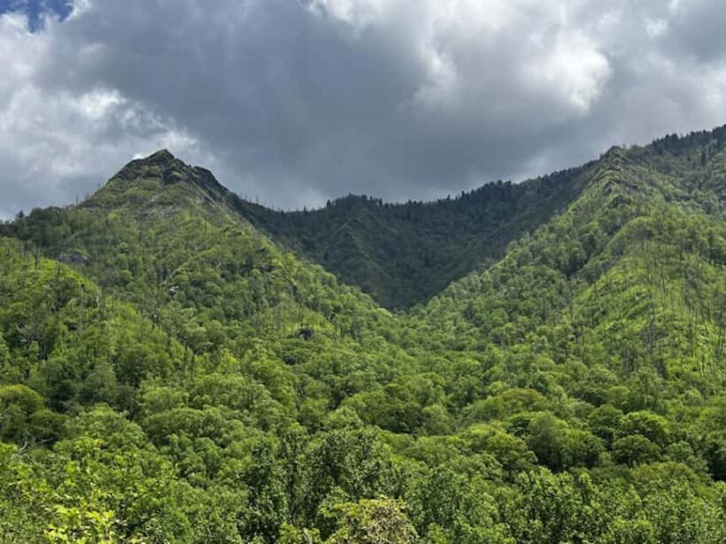 Gatlinburg: Self-Guided Street Legal UTV Rentals - FAQ