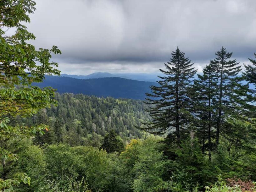 Gatlinburg: Smoky Mountain Appalachian Bald Guided Hike - FAQ