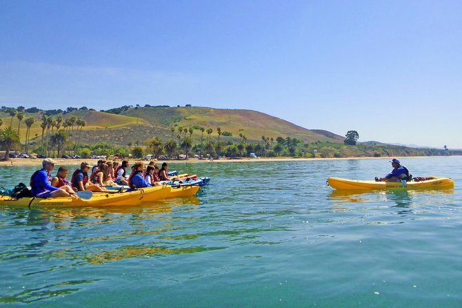 Gaviota Coast Kayak Tour Near Santa Barbara (3.5 Hours) - A Closer Look at the Experience