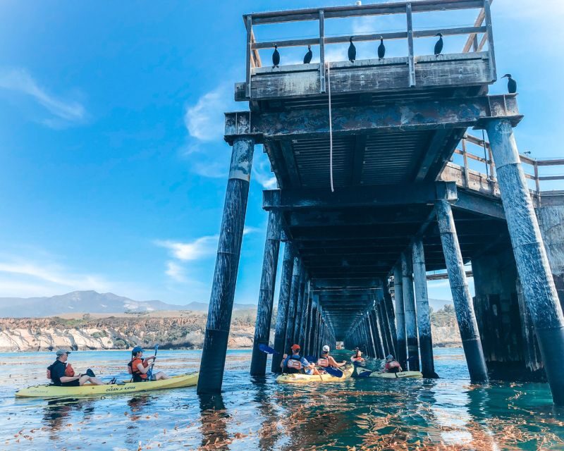 Gaviota Coast Near Santa Barbara: Kayak Tour (3.5 Hours) - The Marine Ecology and Wildlife