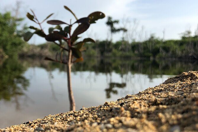 Gay Beach Adventure Queer Friendly Getaway in Puerto Rico Tour - FAQs