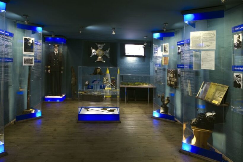 Gdansk Hel Peninsula Private Guided Tour with Cruise or Car - Feedback from Travelers