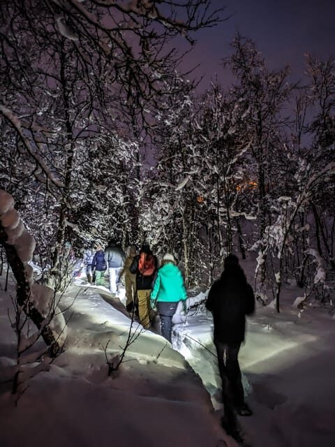 Geilo: Evening family tour with sledge, campfire and fun! - Discovering the Joys of a Norwegian Winter Evening