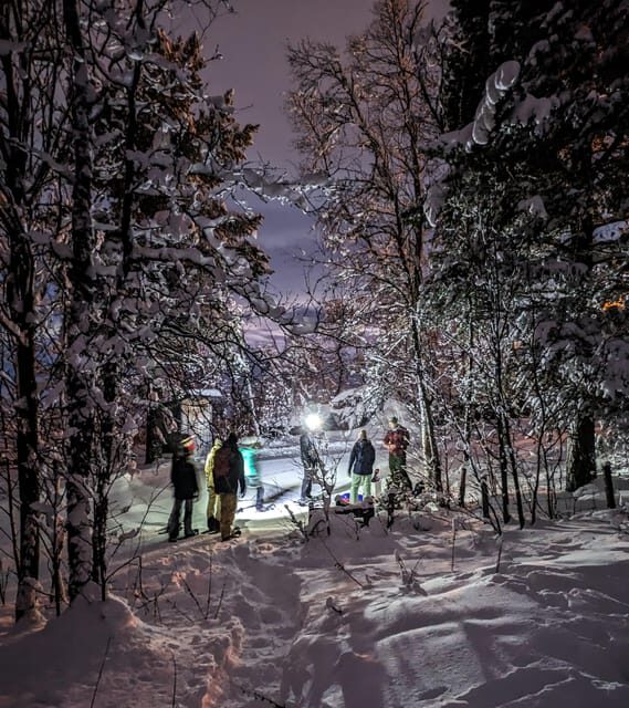 Geilo: Evening family tour with sledge, campfire and fun! - The Experience: Why It Matters