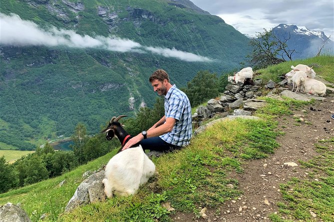 Geiranger by Royal route, 5 hours with visiting a high-mountain farm - The Experience of a Lifetime—What We Think