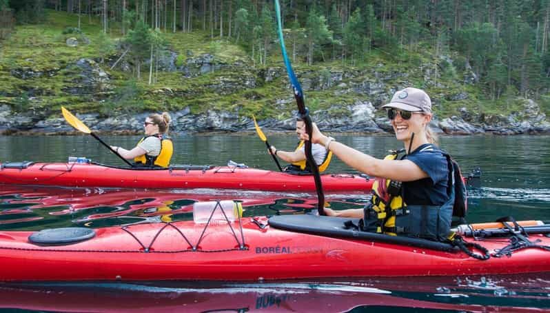 Geiranger: Kayak tour with guide - Introduction: Why a Kayak Tour in Geiranger?