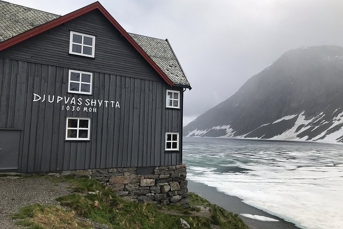 Geiranger Shore Excursion: Mt. Dalsnibba and Eagle Road - The Experience: What You’ll Really Take Away