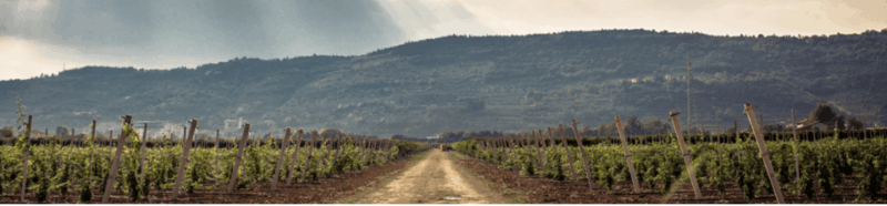 Gelato and pizza from scratch in Capurso winery - Practical Details and Tips