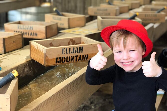 Gem Mining and Goat Farm Walking Tour in Hendersonville - Authentic Traveler Perspectives