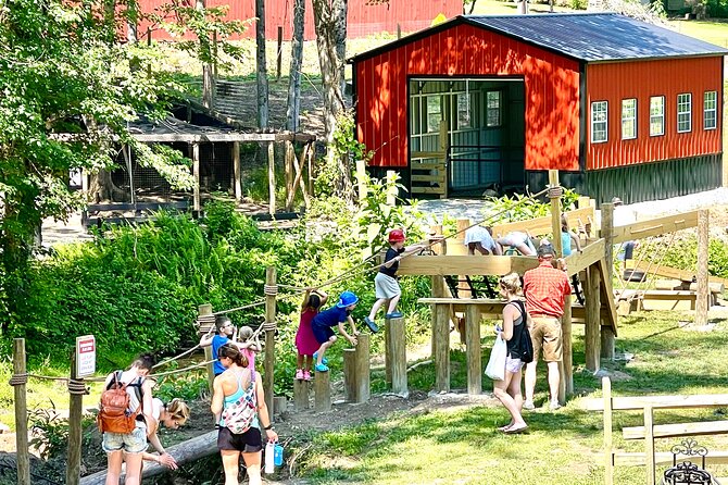 Gem Mining and Goat Farm Walking Tour in Hendersonville - Practical Tips for Visitors