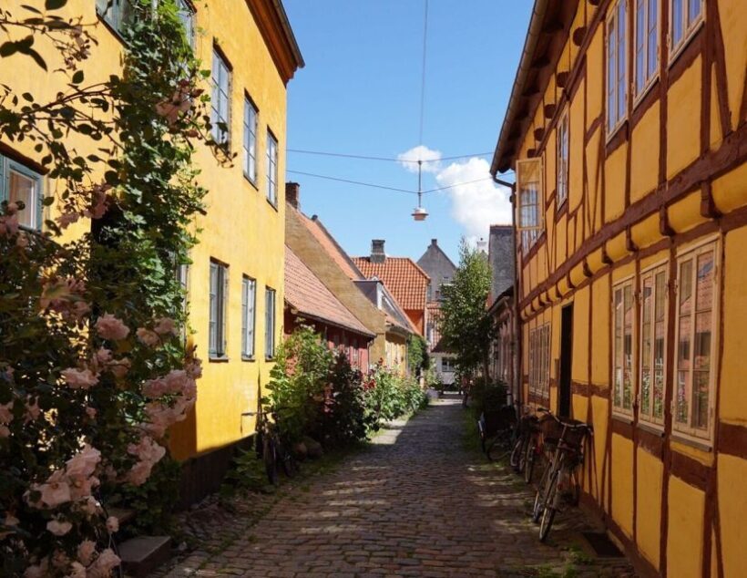 Gems of Helsingør  Private Walking Tour for Couples - Who Should Consider This Tour?