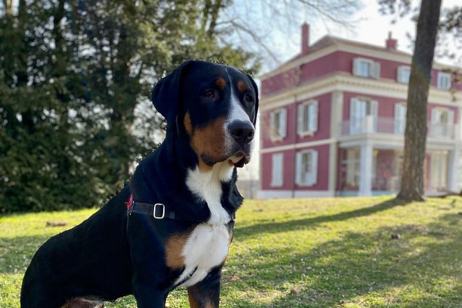 Geneva Complete Tour (PICK-UP), United Nations Area & Old City - Jet Deau and the Old City