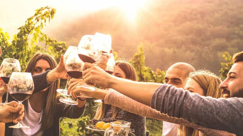 Geneva: Countryside and Wine Tasting by E-Bike - E-Bike and Equipment