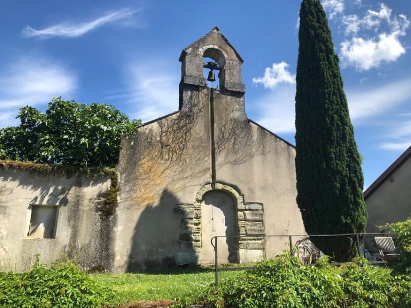 Geneva: Countryside and Wine Tasting by E-Bike - Wine Tasting Experience
