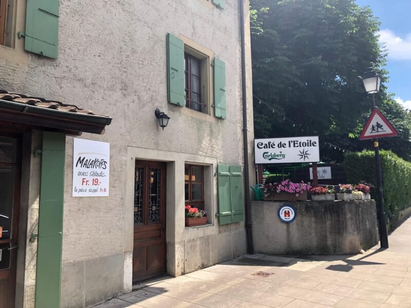 Geneva: Countryside and Wine Tasting by E-Bike - Recommendations for Travelers