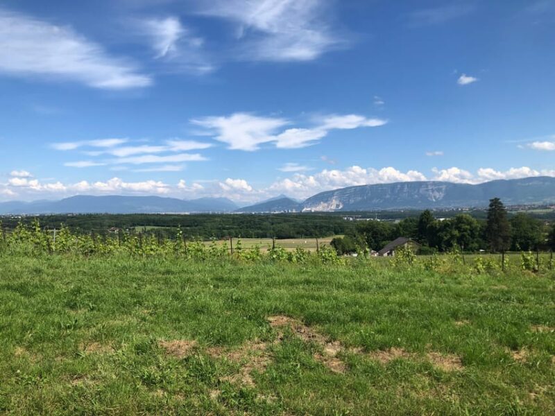 Geneva: Countryside and Wine Tasting by E-Bike - Customer Reviews and Feedback